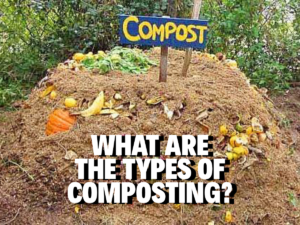 What Are The Types Of Composting? - ECEPL