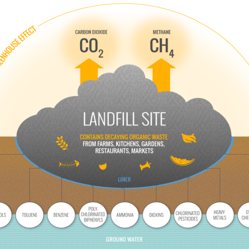 Food Waste Management In Hotels & Restaurants - ECEPL