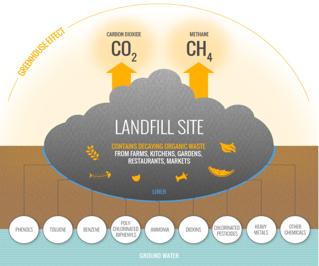 Why Process Food Waste ? - ECEPL