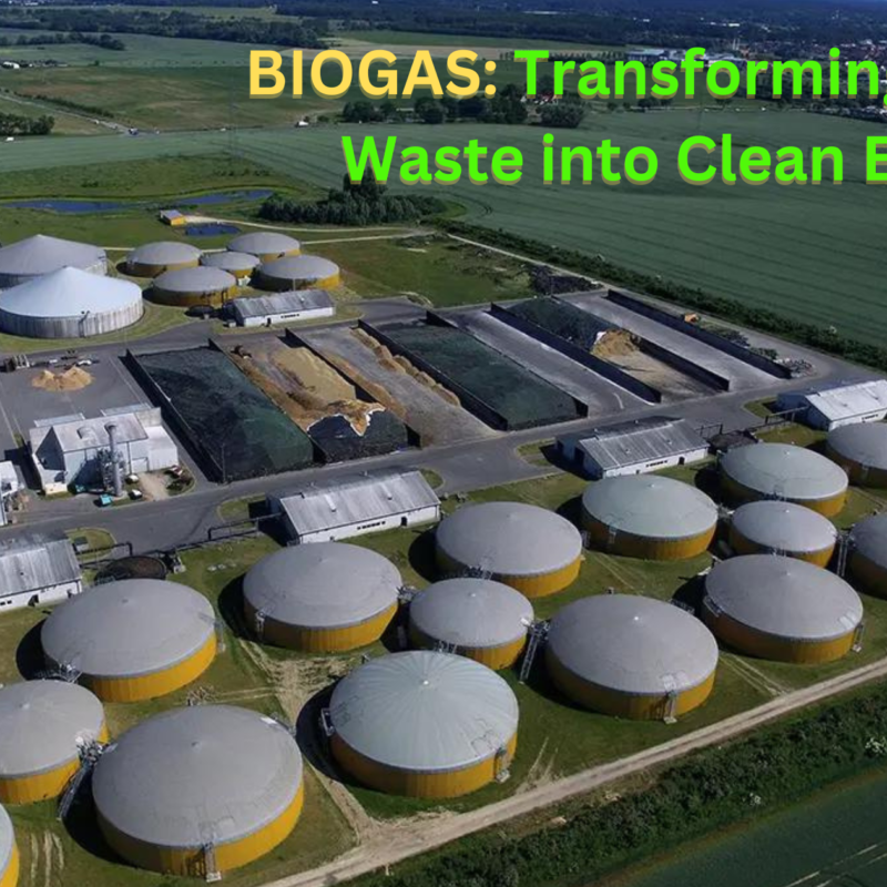 Food Waste Management In Hotels & Restaurants - ECEPL